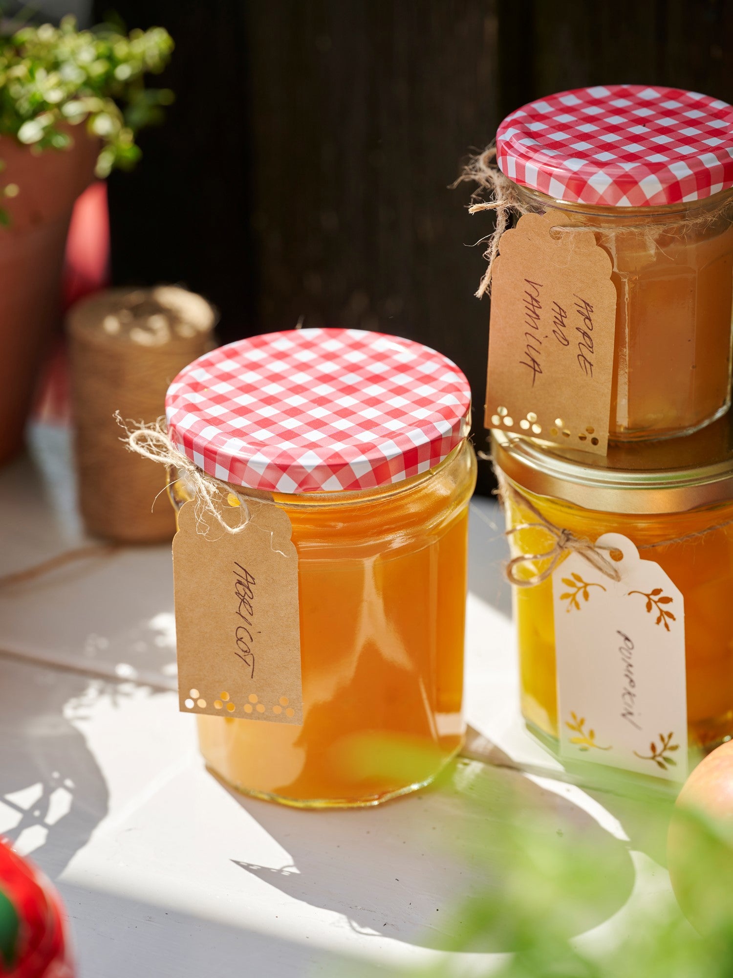 Hangandi karfa – Søstrene Grene á Íslandi